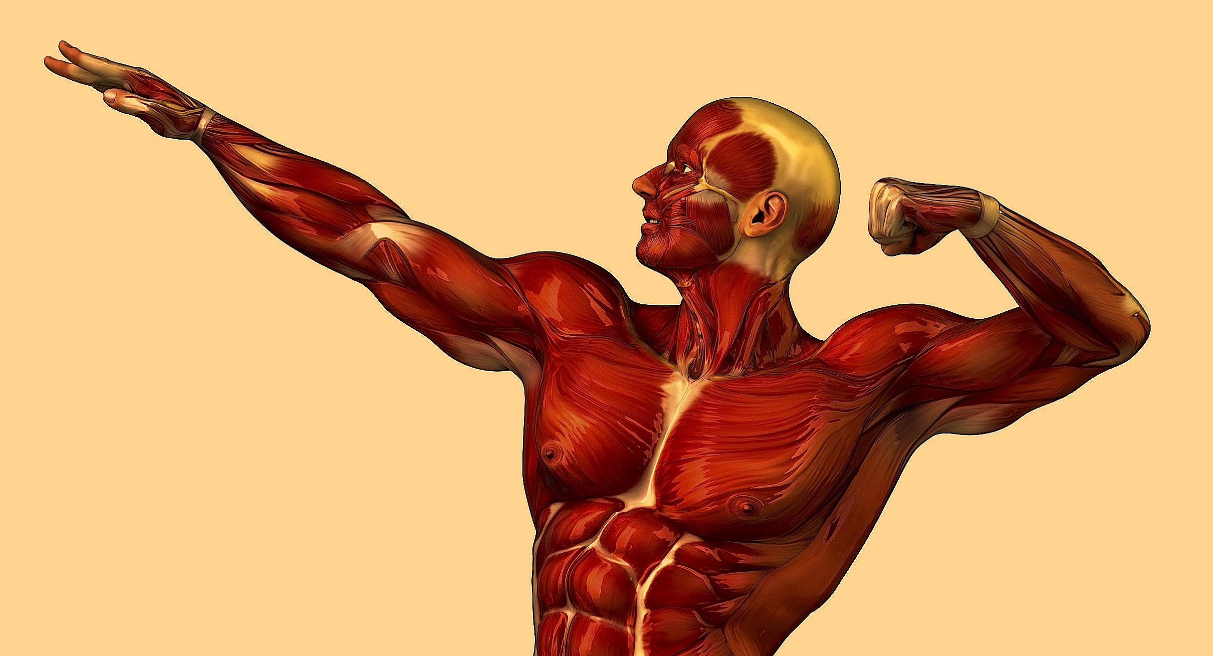 Neuromuscular Power – achieving coherence